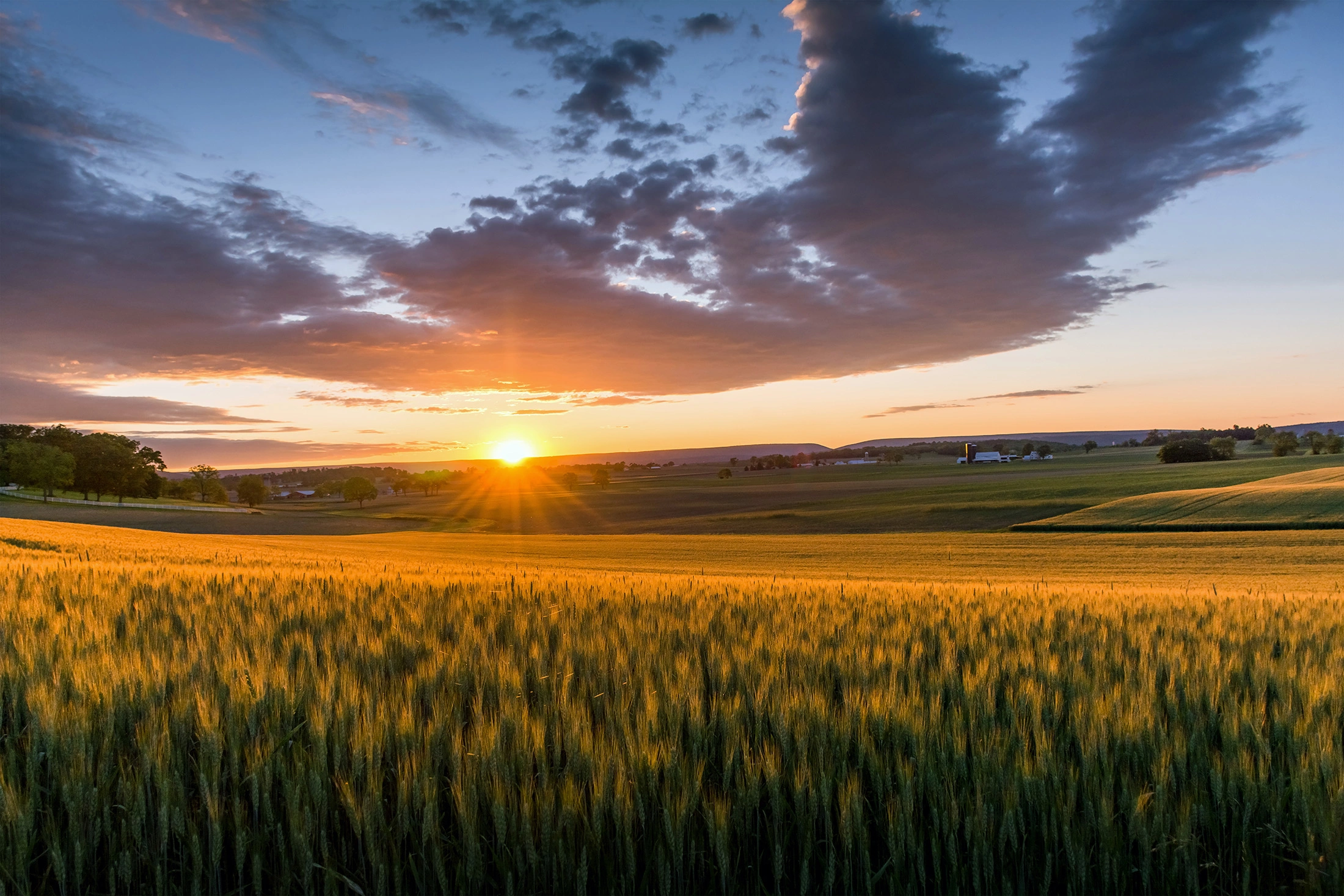 Goal Planning and Monitoring - Aspire Wealth Group